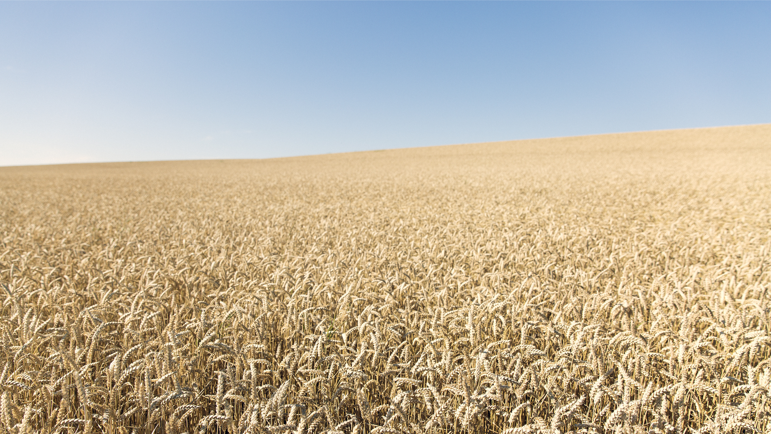 Woher kommt Absolut Vodka? - Absolut One Source