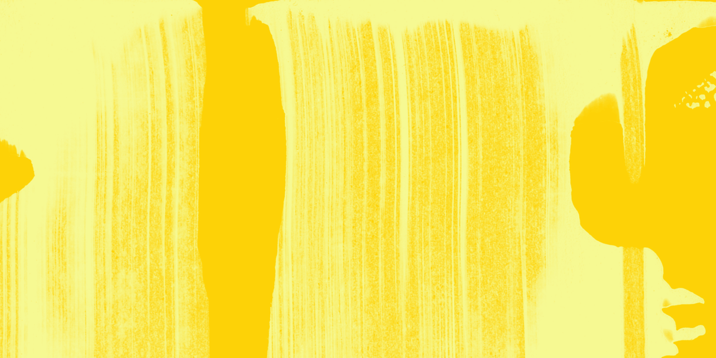 Lemon Vodka - Absolut Citron