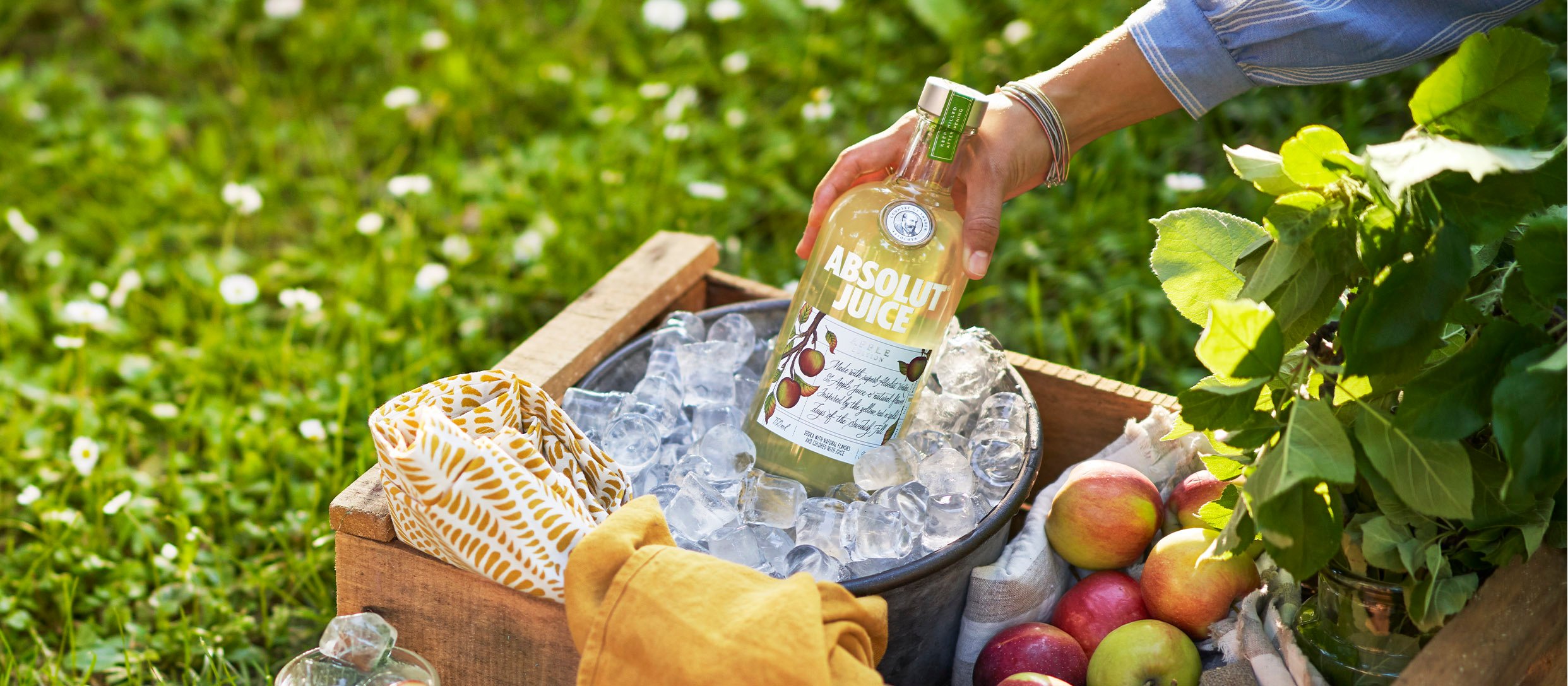 Apple Vodka - Absolut Juice Apple