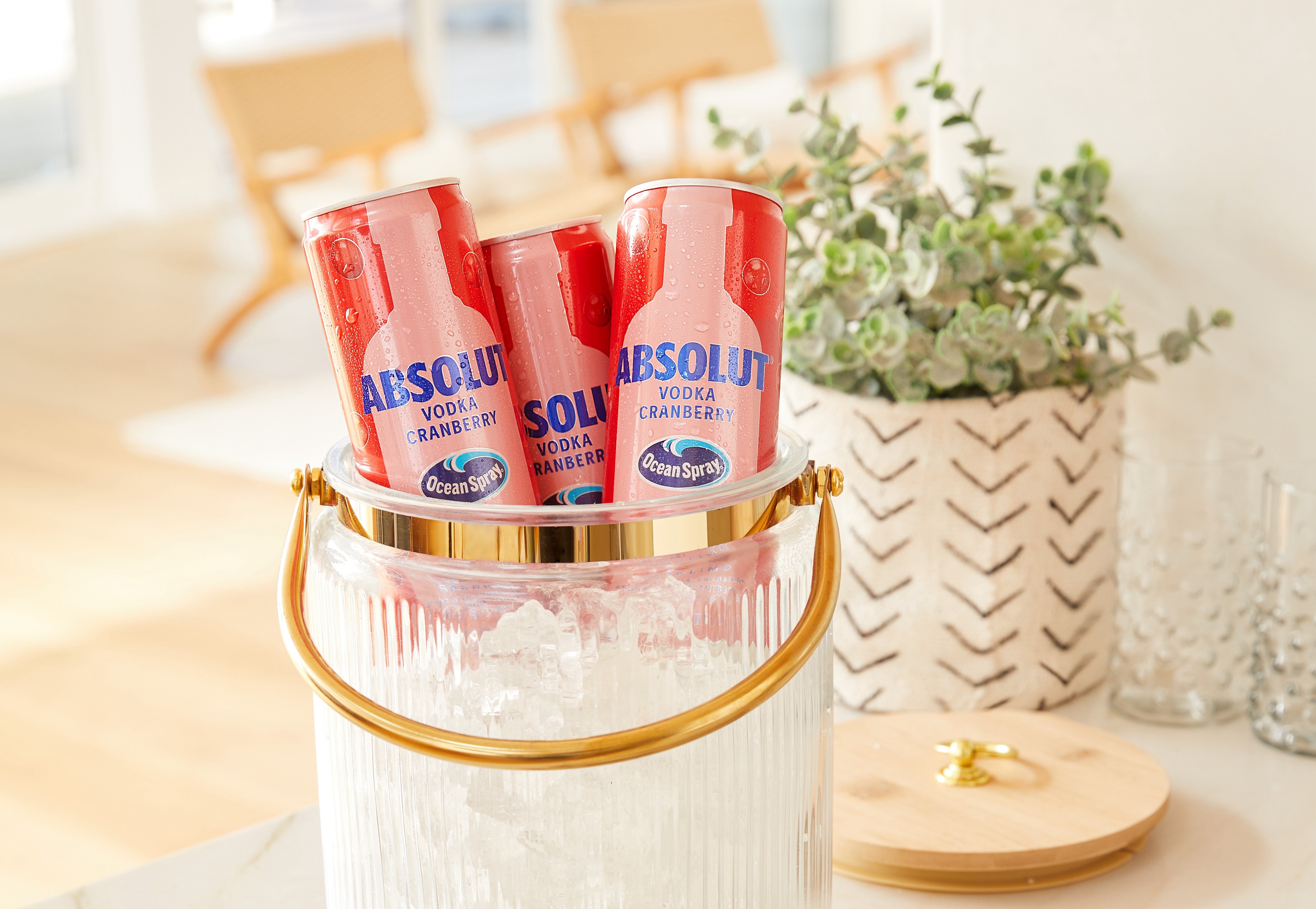 Absolut Ocean Spray Cans - Absolut Vodka
